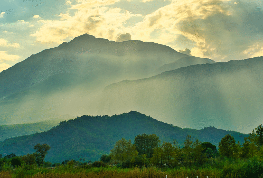 Mysore-Ooty-Coorg-Wananda/Kodaikanal - Orchid